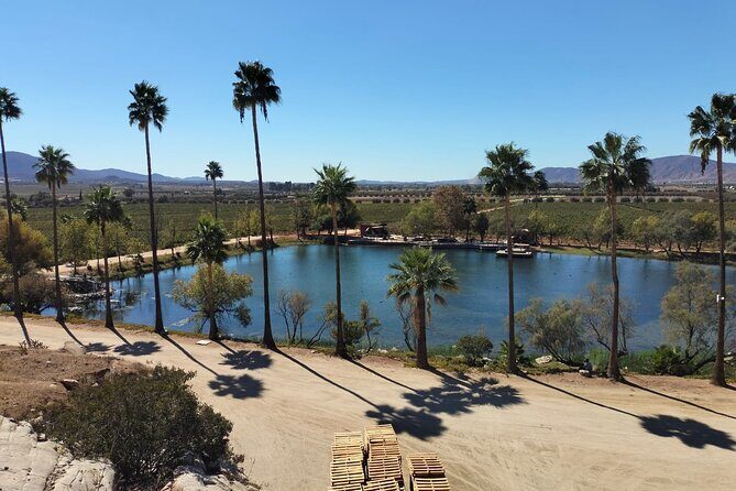 8 Hour Private Tour in the Guadalupe Valley 1-4 Passengers - FAQ: Common Questions About the Guadalupe Valley Private Tour