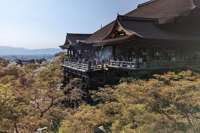 8 Hour Private Tour of Kyoto - What to Expect and Why It Matters