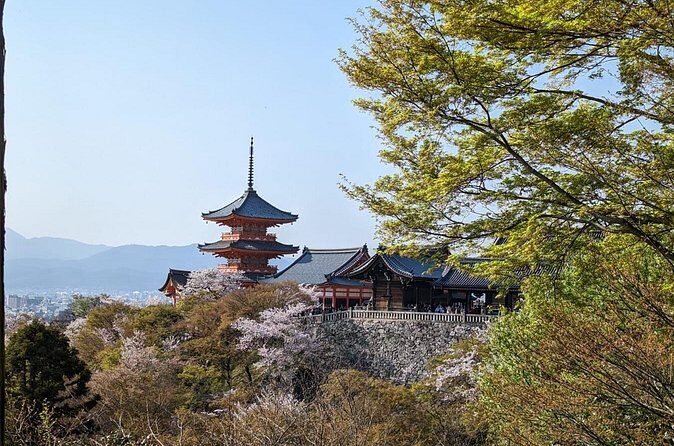 8 Hour Private Tour of Kyoto - Who Would Love This Tour
