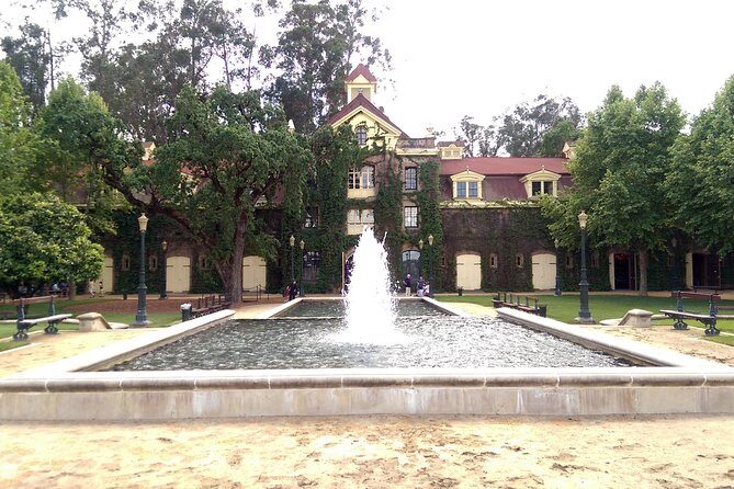 8 Hour Private Wine Country Tour (Sedan, SUV or Limo) - What to Expect from Your Day