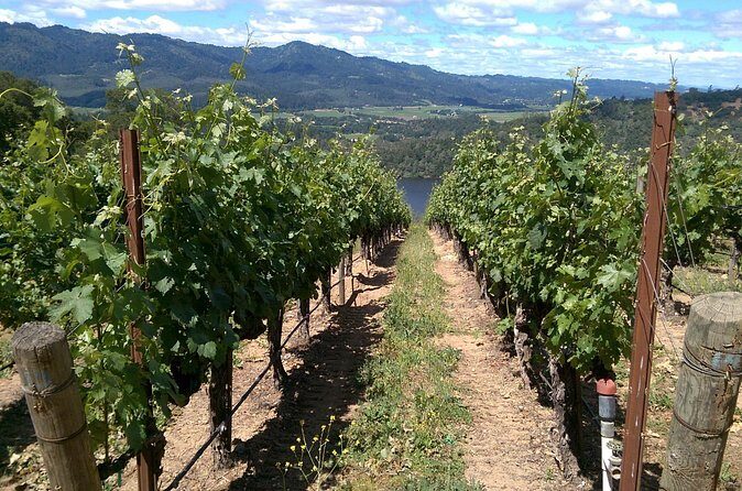 8 Hour Private Wine Country Tour (Sedan, SUV or Limo) - Why This Tour Offers Great Value