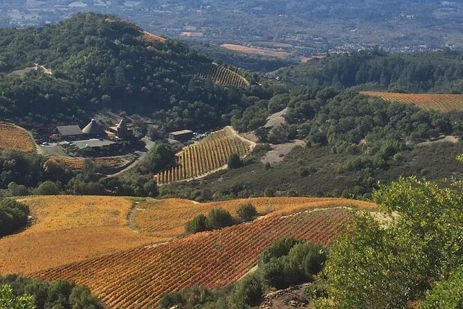 8-Hour Private Wine Tour Experience for up to 6 Guests - San Francisco to Sonoma - Final Thoughts