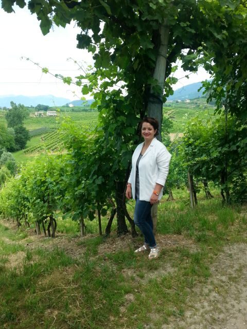 8-Hour Prosecco Wine and Tastings Tour from Venice or Padua - Introduction