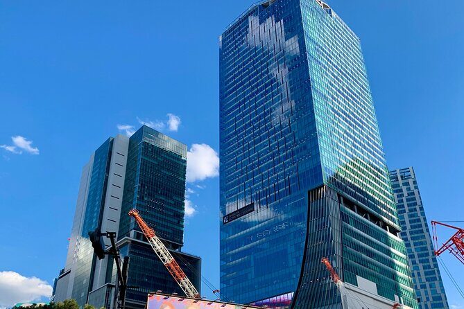 8-hour Tokyo Private Tour, Experience Modern Japan - Review of the 8-hour Tokyo Private Tour, Experience Modern Japan