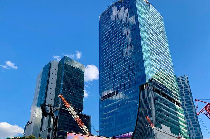 8-hour Tokyo Private Tour, Experience Modern Japan - Who Should Book This Tour?