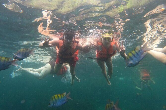 8 Hour Tour in Yelapa and Majahuitas - Who Will Love This Tour?