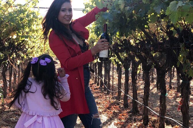 8 Hours 12 Passengers limo bus for Napa or Sonoma wine tour - The Journey’s Foundation: Private, Customized, and Hassle-Free