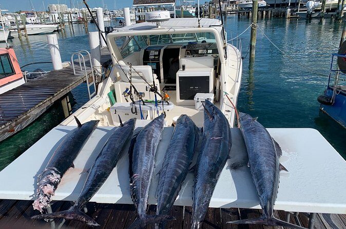 8 hours 38ft Reel Dreams Private Charter Nassau - Pricing and Value