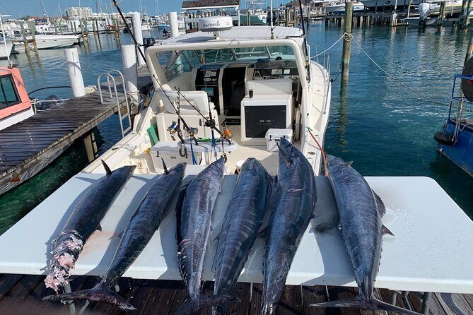 8 hours 38ft Reel Dreams Private Charter Nassau - Who Should Book This Tour?