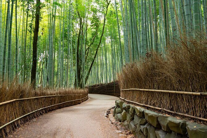 8 hours Arashiyama Monkey Park Ryoanji and Kinkaku ji Tour - Exploring Kyoto with a Focus on Natural and Cultural Sights