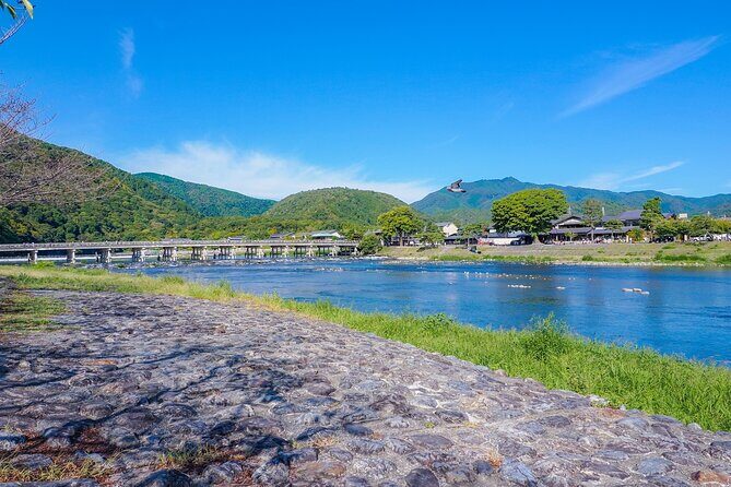 8 hours Arashiyama Monkey Park Ryoanji and Kinkaku ji Tour - Authentic Traveler Experiences and Feedback