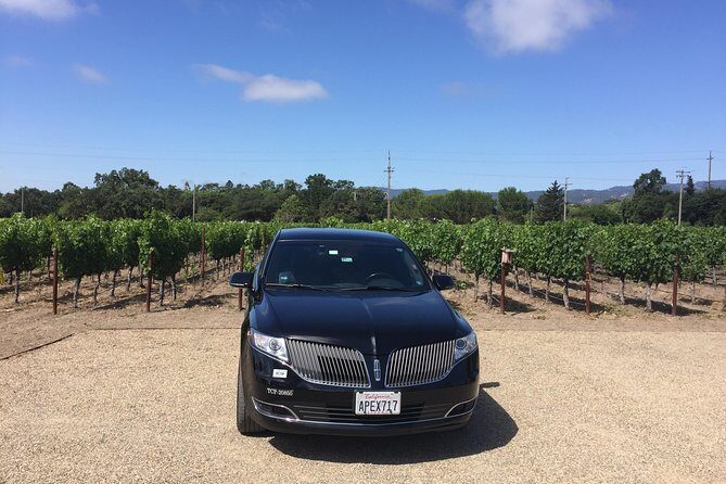 8-Hours Napa Wine Tour from SF to Napa CA , Sedan up to 2 People - Key Points