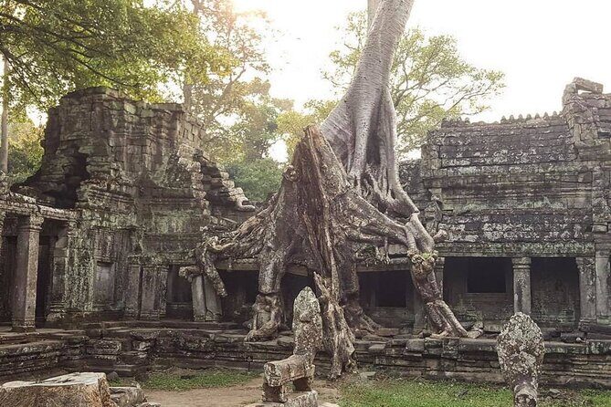 8 hours private charter ! From Siem Reap to Angkor Archeological Park and other - The Sum Up