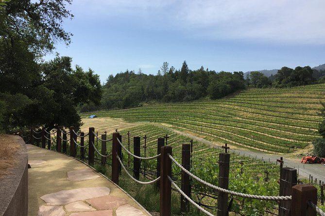 8-Hours Private Limo(up to 8 pass.) Wine Tour of Napa Valley from San Francisco - FAQ