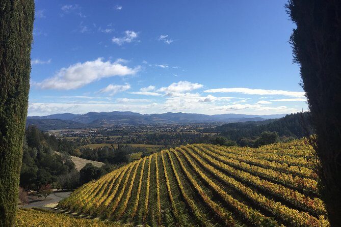8-Hours Private SUV (up to 6 Passengers) San Francisco to Napa Valley Wine Tour - Setting the Scene: Why Choose a Private Napa Valley Tour?
