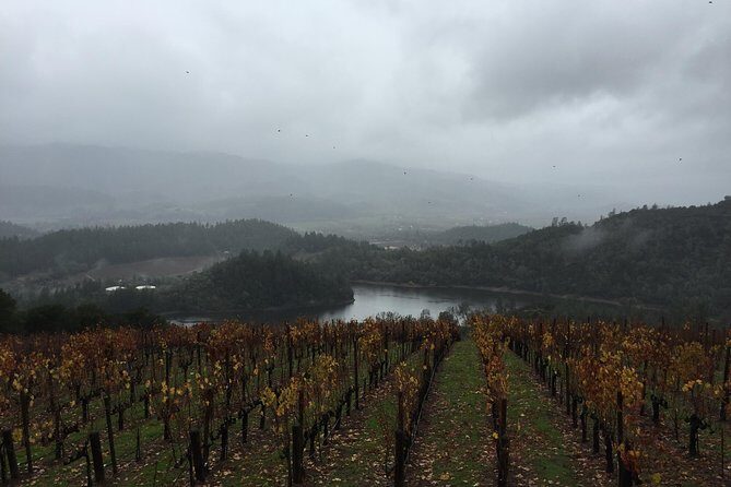 8-Hours Private SUV (up to 6 Passengers) San Francisco to Napa Valley Wine Tour - What the Reviews Say