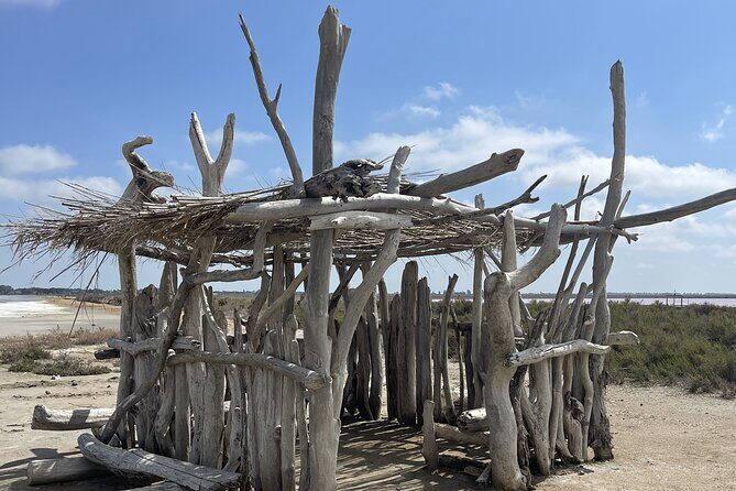 8 Hours Visit to the Camargue and the Salins dAigues-Mortes - The Value of This Guided Experience