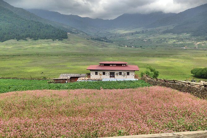 8 Nights Bhutan Tour with Bumthang Valley Extension with Private Guide - Frequently Asked Questions