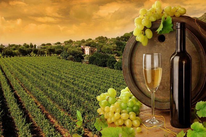 8hr-Private Wine Tour from SF & 1/2 Case of Californian wine. - A Deep Dive into the 8-Hour Private California Wine Tour from San Francisco