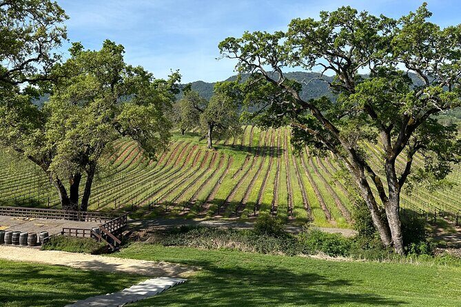 8hr Private Wine Tour in Napa and Sonoma with Priority Wine Pass - The Experience: What Travelers Say