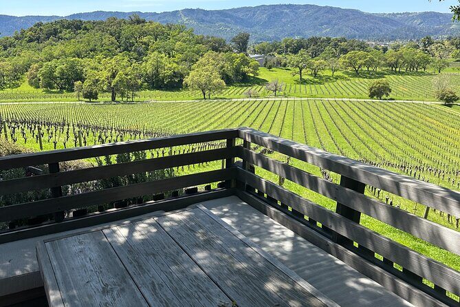 8hr Private Wine Tour in Napa and Sonoma with Priority Wine Pass - Who Should Consider This Tour?