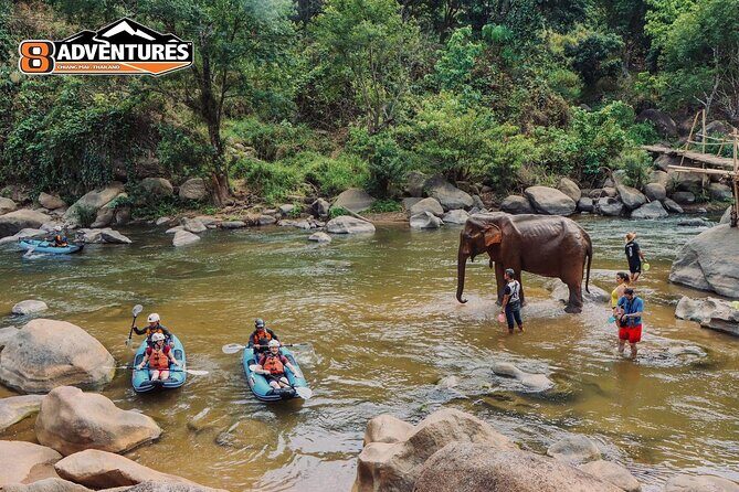 8KM White Water Rafting and 3HRS Jungle Trekking Adventure - Detailed Review of the Chiang Mai Jungle and River Adventure