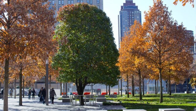 9/11 Memorial & Ground Zero Tour with Optional Museum Ticket - Who Should Consider This Tour?