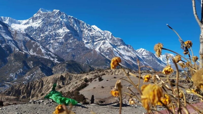 9 Day all-inclusive Annapurna Circuit Trek from Kathmandu - Day 9: Returning to Pokhara