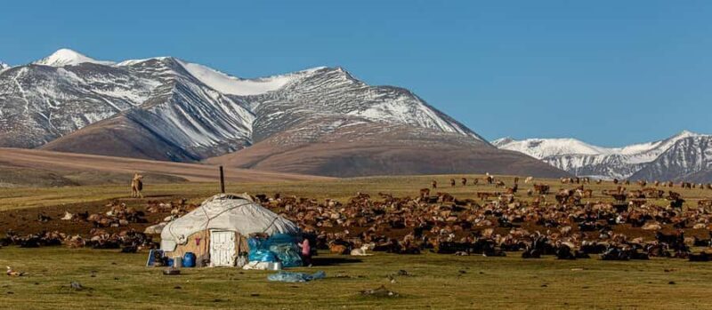 9-Day Altai Tavan Bogd National Park Tour - Key Points