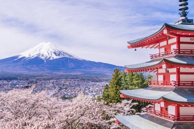 9 Day Best of Japan Cherry Blossom Small Group Tour 2026 - Who Will Enjoy This Tour?