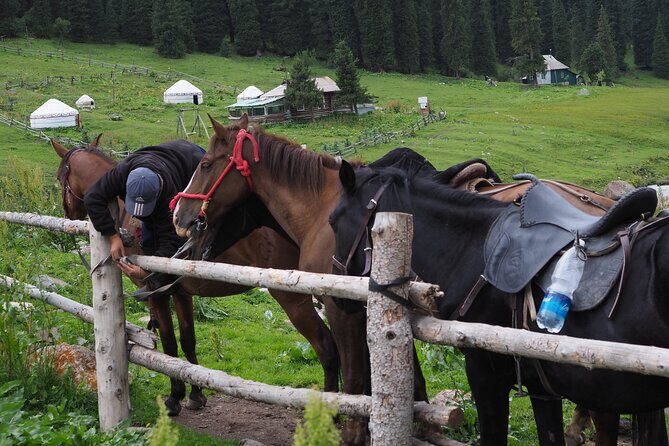 9 Day Kazakhstan and Kyrgyzstan Adventure Hot Springs and Lakes - FAQ