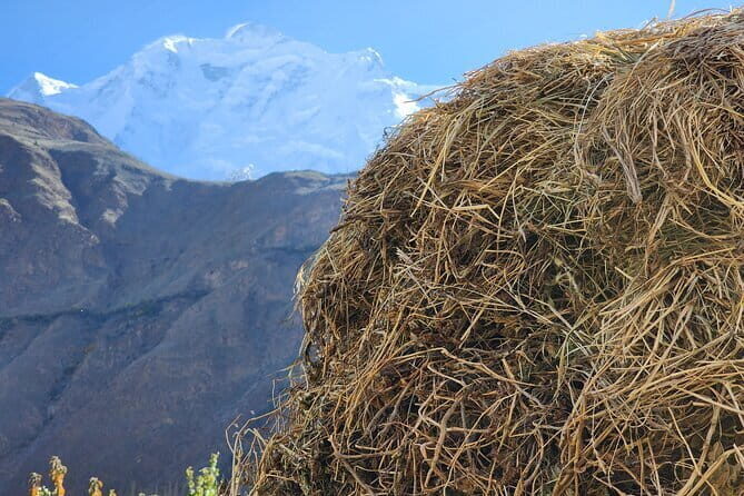 9-Day Package Tour Colors of Hunza Valley - What Makes This Tour Stand Out?