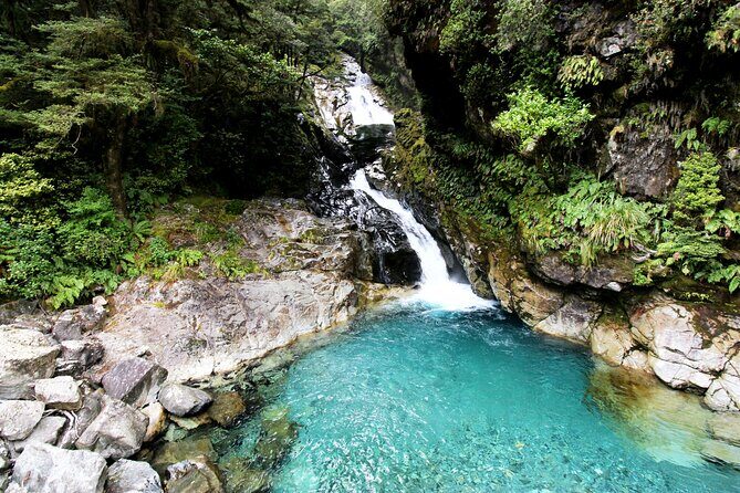 9 Day South to North Island NZ Private Tour from Queenstown - Key Points