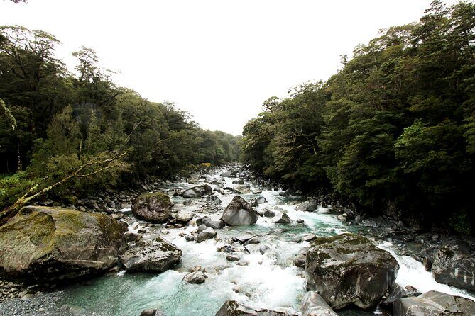 9 Day South to North Island NZ Private Tour from Queenstown - Final Thoughts