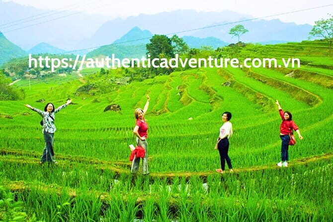 9-Day Vietnam Tour | Explore the North and Central | Top Packages - Key Points