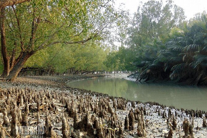 9 Day World Heritage Tour in Bangladesh Dhaka, Sundarbans - Exploring Dhaka: The Heartbeat of Bangladesh