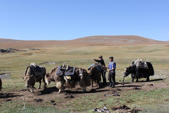 9 Days Horse Trekking to Mongolian Heartland - Starting Point: Ulaanbaatar and the Journey West