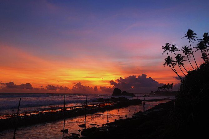 9 Days Sri Lanka Magical Paradise Tour - Exploring the Highlights: A Detailed Review