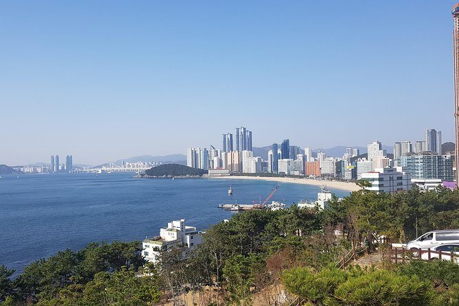 9-Days Tasty Journey Around South Korea Tour - Practical Details and Patient Expectations