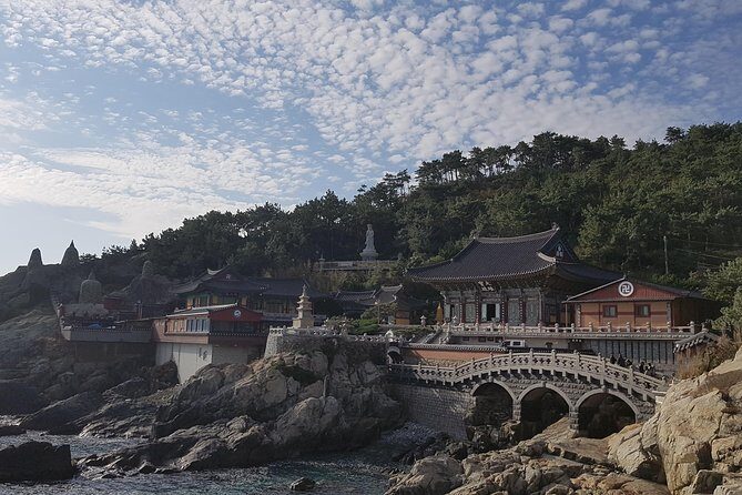 9-Days Tasty Journey Around South Korea Tour - FAQs