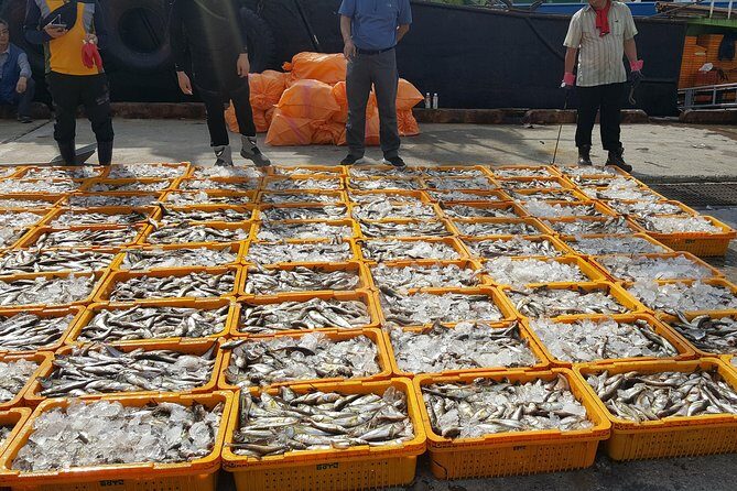 9-Days Tasty Journey Around South Korea Tour - Final Thoughts