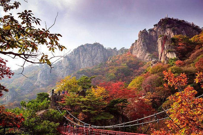 9-Days Tasty Journey Around South Korea Tour - Additional FAQs