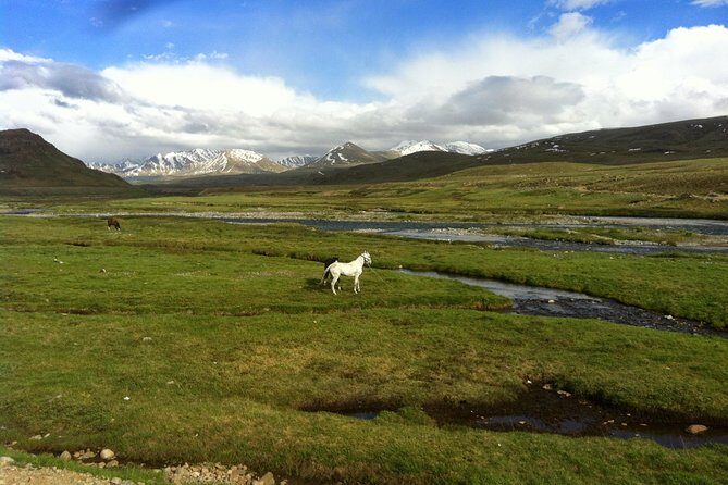 9 Days Tour to Skardu, Deosai, Rama meadows From May to October - Introduction