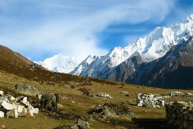9 Days West Langtang Valley Tamang Heritage Trek - The Itinerary — What to Expect Day by Day