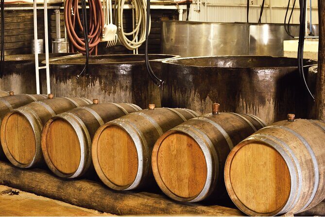 9 Hour Northeast Coast Bay View Tour in Yilan - Authentic Experiences and Traveler Insights