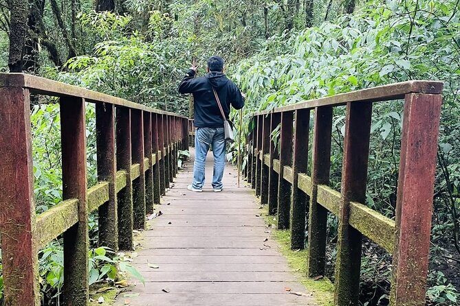 9 Hours Nature Tour in Inthanon National Park From Chiang Mai - An In-Depth Look at the Itinerary