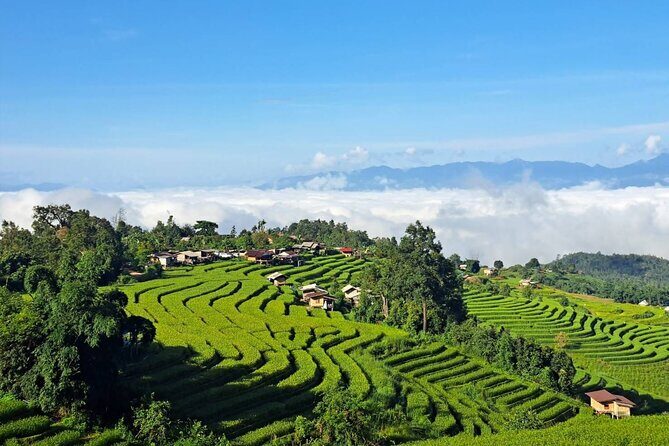 9 Hours Nature Tour in Inthanon National Park From Chiang Mai - Final Thoughts: Is It Worth It?