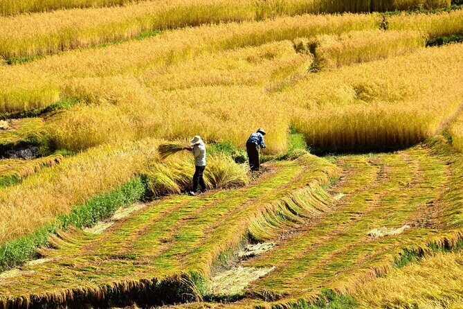 9 Nights Bhutan Private Tour - Daily Departures - What We’ve Heard from Others