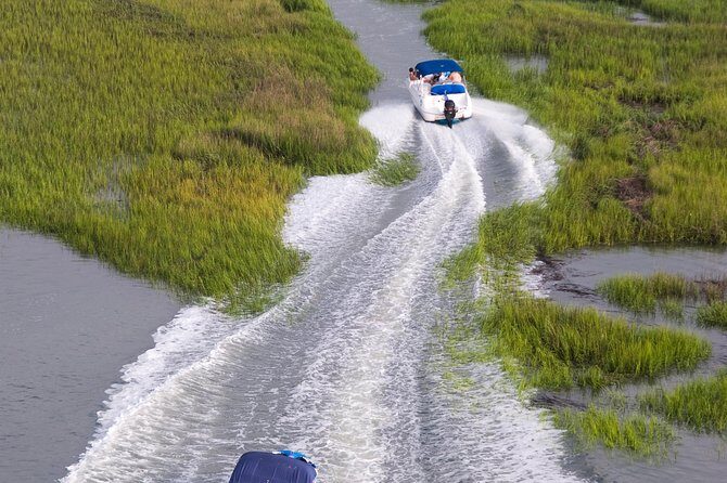 90-Minute Dolphin and Nature Tour of Hilton Head - Final Word