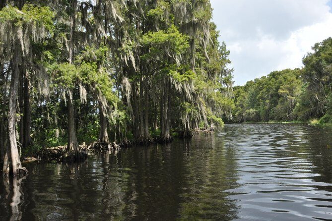 90 minute Everglades Airboat Tour near Orlando Florida - The Itinerary: Step-by-Step Breakdown